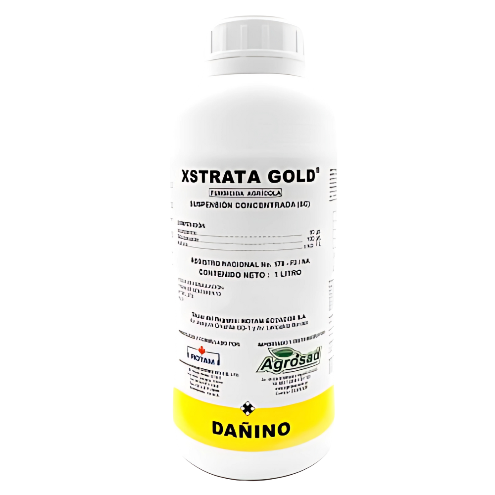 XSTRATA GOLD – Sirac