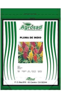 PLUMA DE INDIO (CELOSIA PLUMOSA MEZCLADA) – Sirac